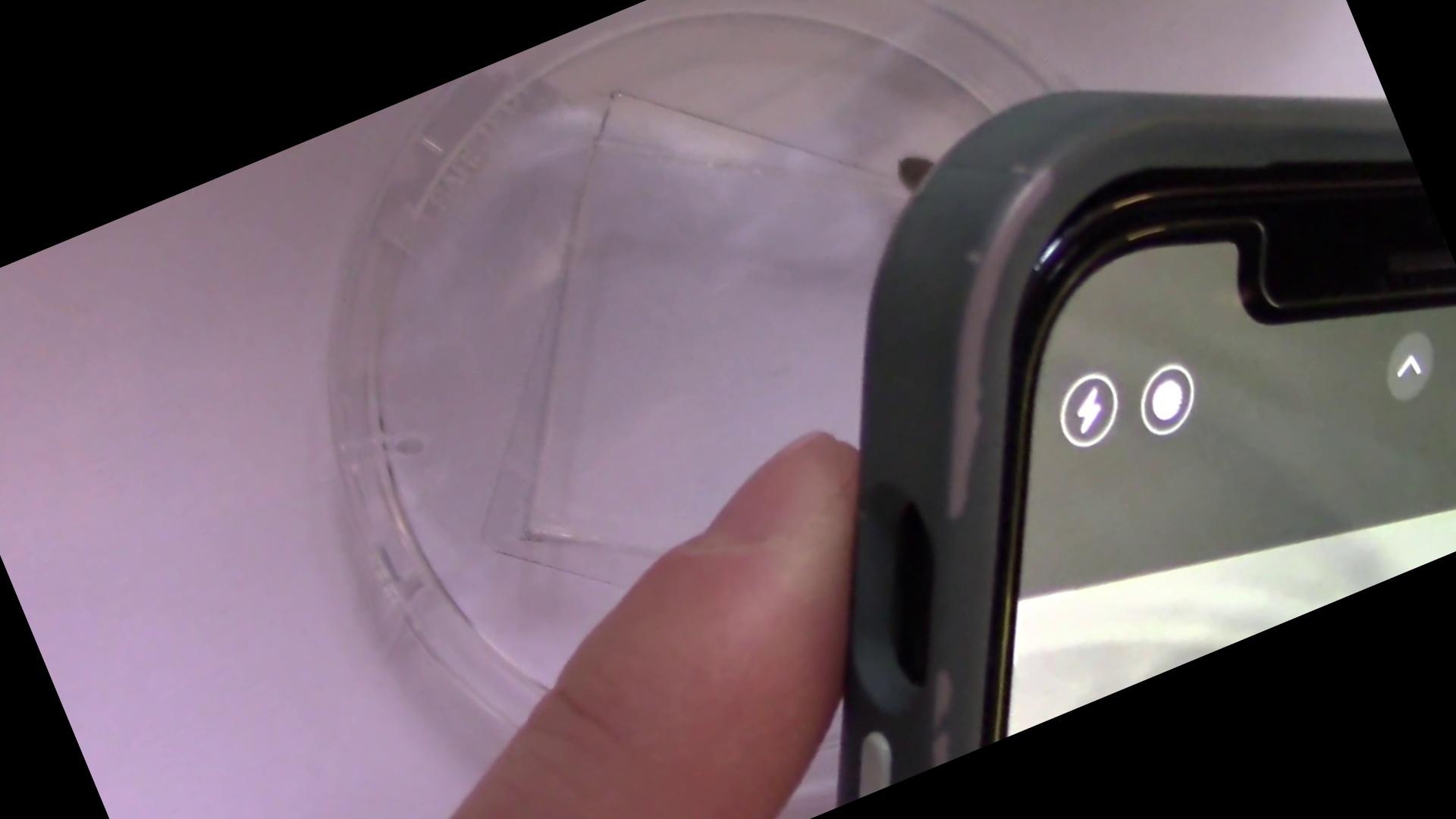 bee_detector Object Detection Dataset by mgbf1