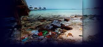 trash Classification Dataset by Harsh