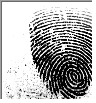 How to Use the fingerprint detection Object Detection API