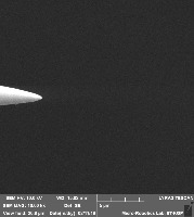 MTP (mtp-sfvfn) - Roboflow Universe