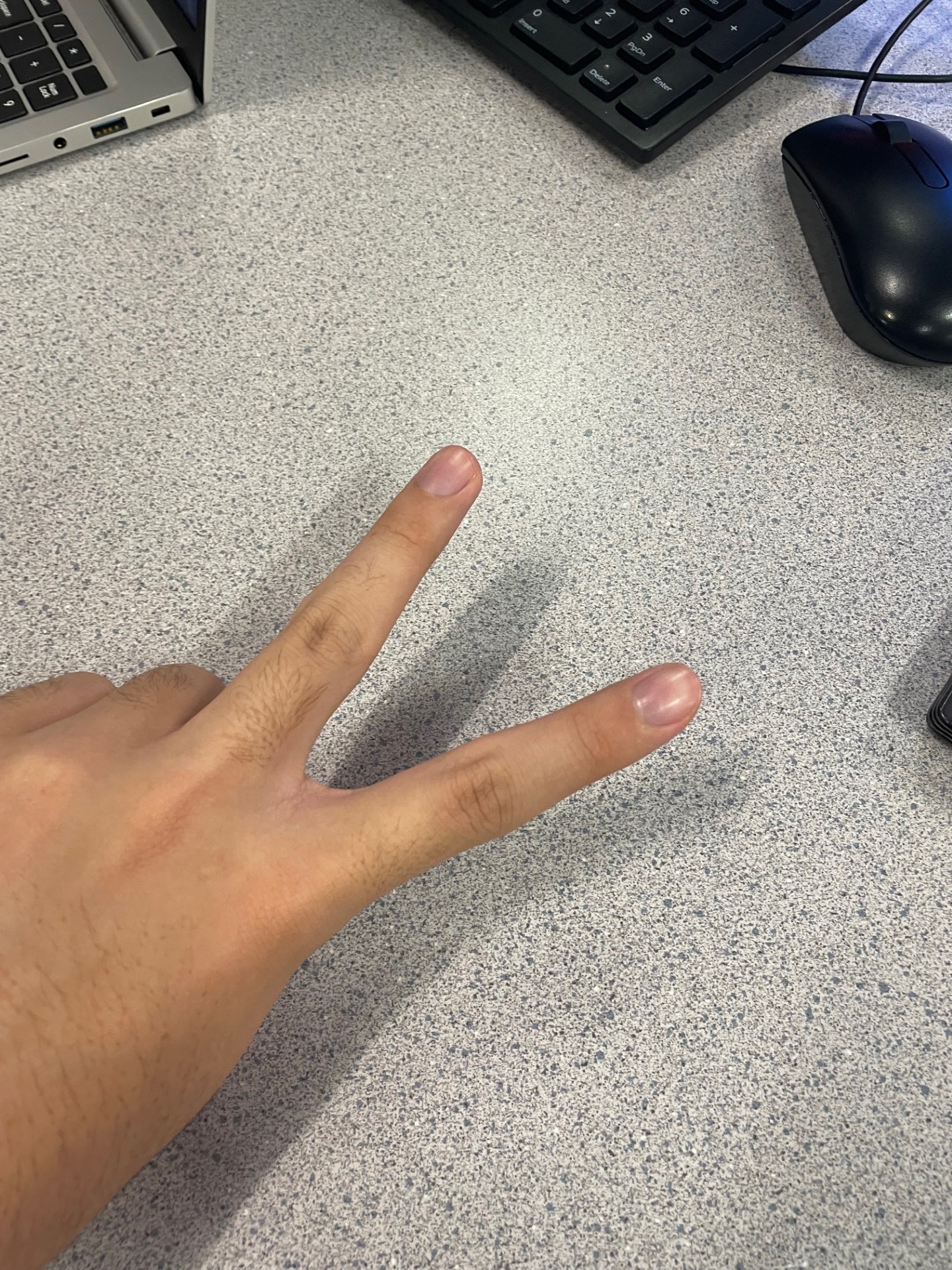 Lab 74 - Roboflow Universe