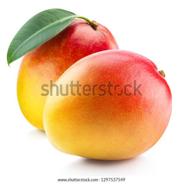 Mango Segmentation Instance Segmentation Dataset By Fruit Dataset 1