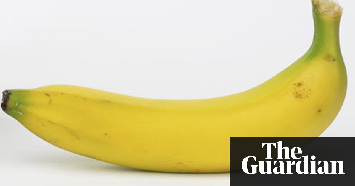 Fruit Detection 1 Instance Segmentation Dataset And Pre Trained Model