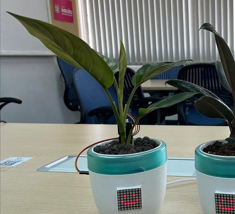 Plant Detection Object Detection Dataset By Nopparat Jamsai