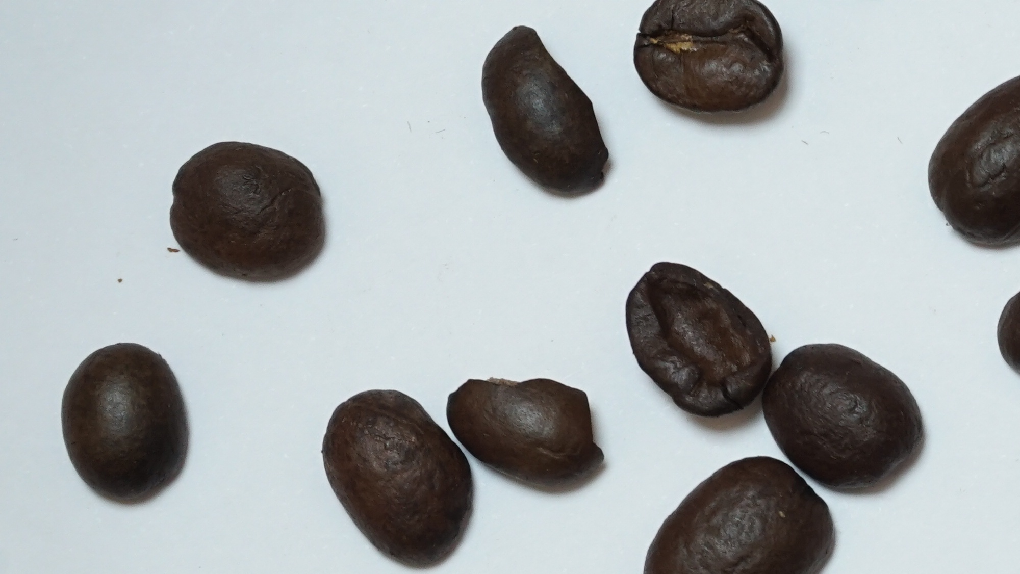 chhh - Roboflow Universe