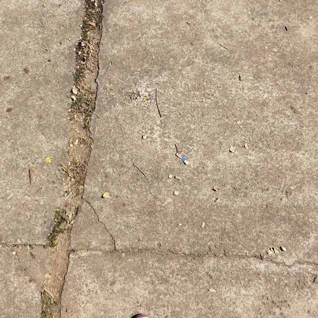 Mrityunjay Midya Object Detection Model By Nit Rourkela