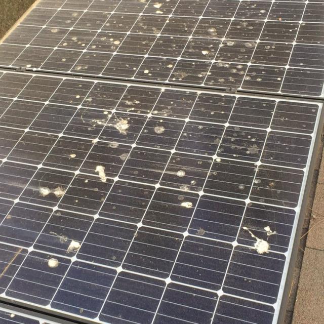 Solar Panel Final Dataset Instance Segmentation Dataset By Solar