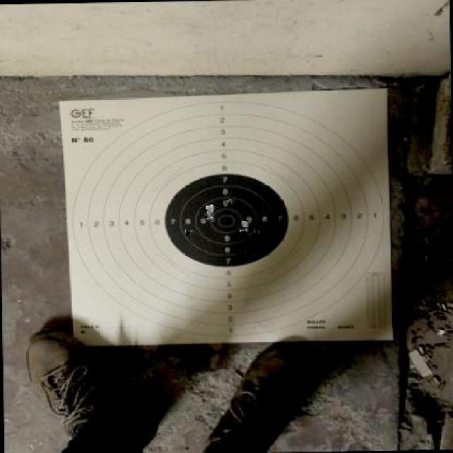 Target Scoring Object Detection Dataset and Pre-Trained Model by Targets