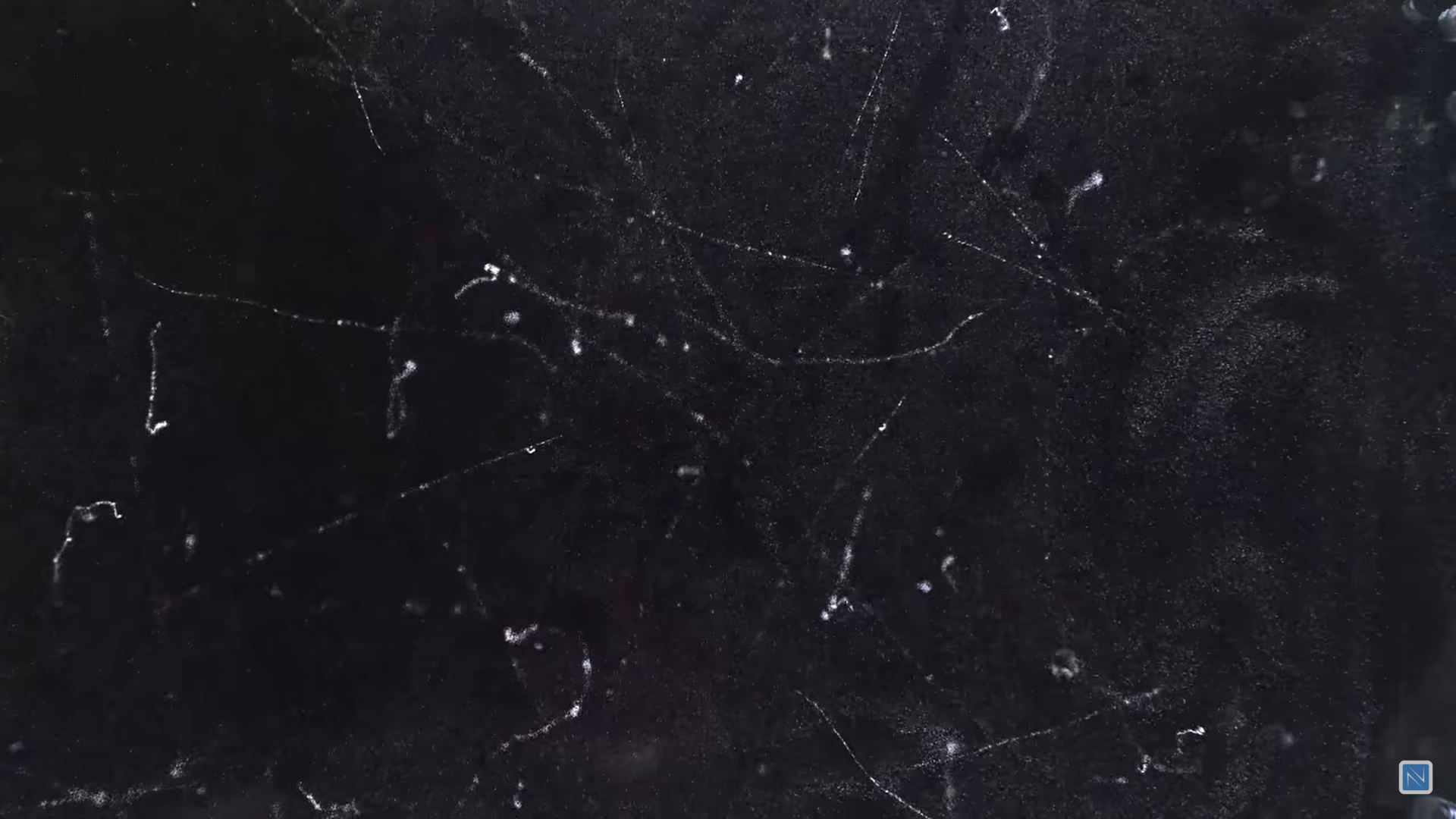 cloud chamber Object Detection Dataset by CHAES LAB