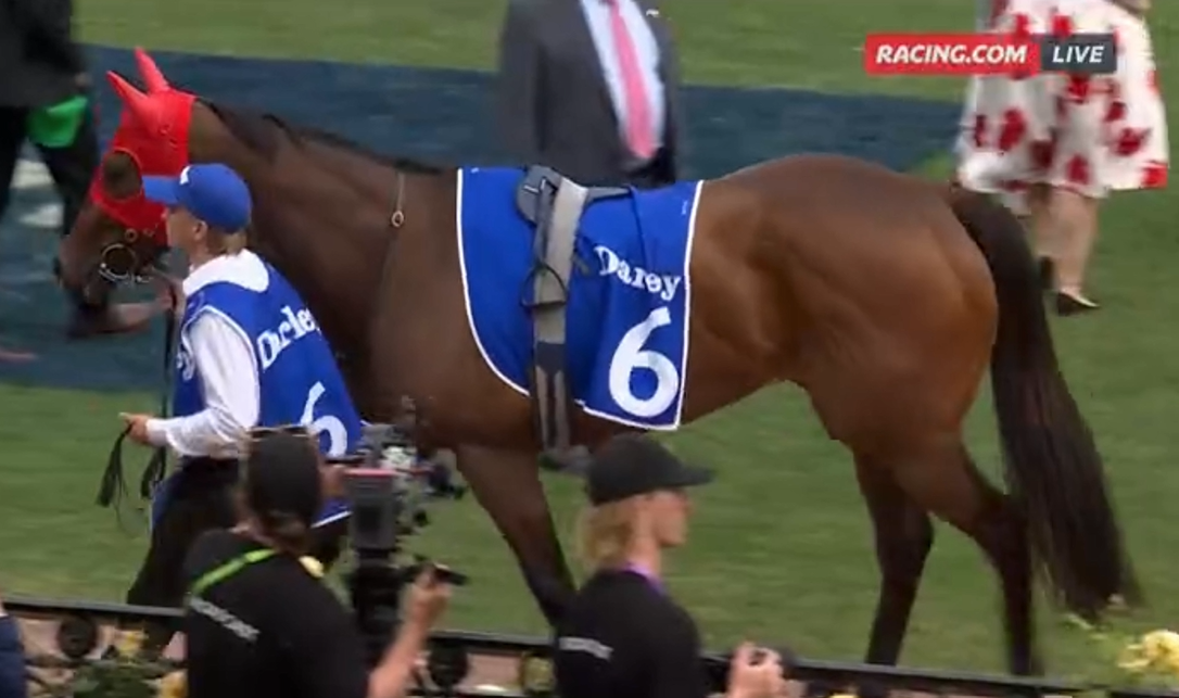 BinTech (bintech-khoax) - Roboflow Universe