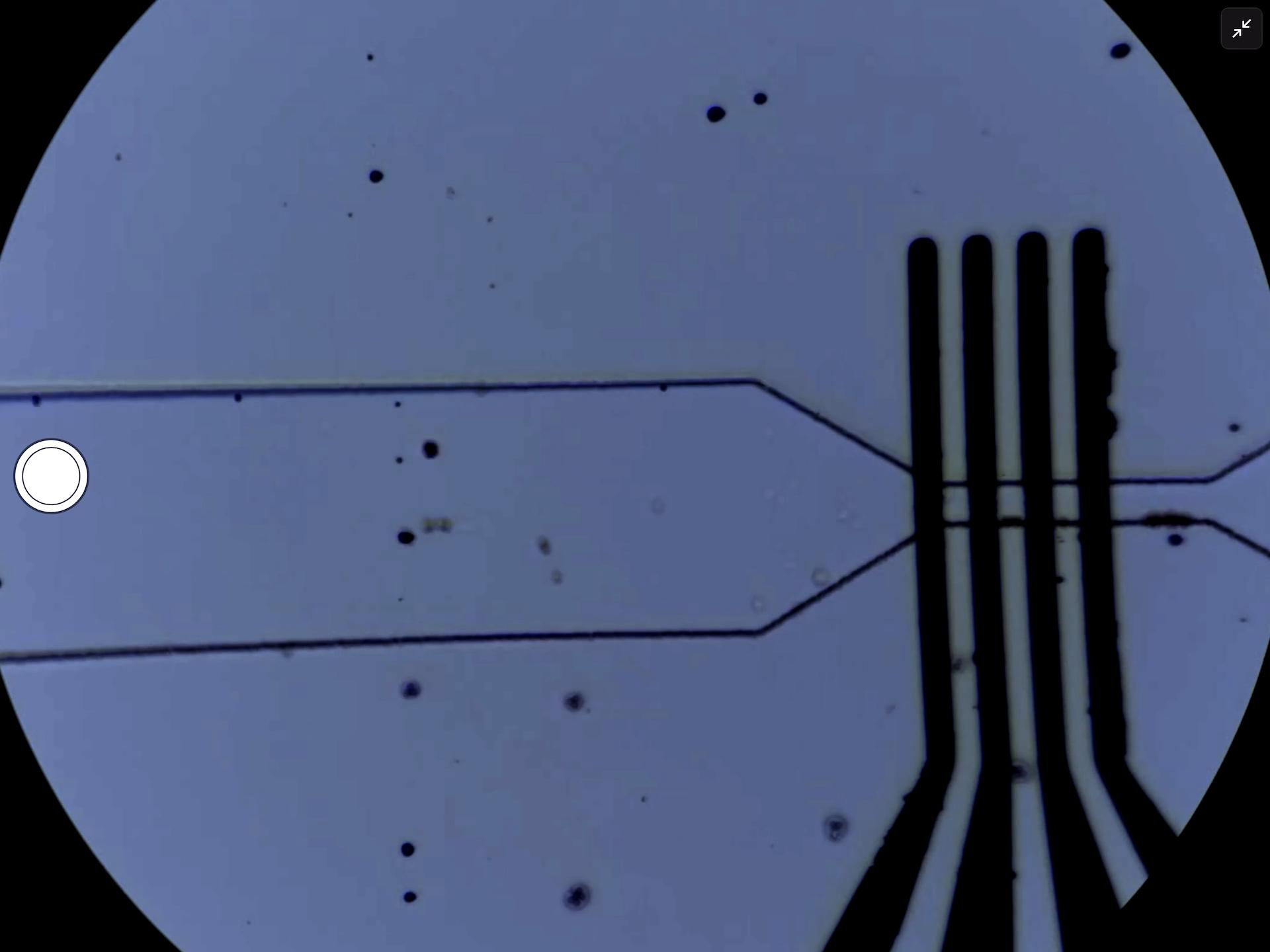 Tutorial Counting Object Detection Dataset V1 2022 04 04 8 20pm By