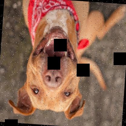dog breeds Object Detection Model by seif