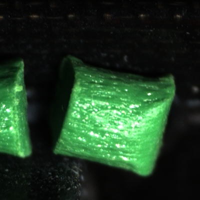 Green Instance Segmentation Dataset by dageda