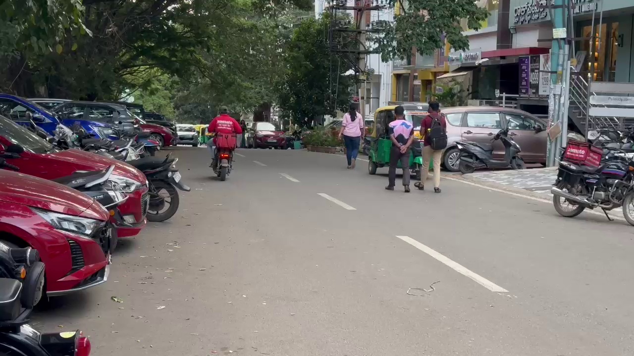 Car Lp Object Detection Dataset By Detectingobjectnumber