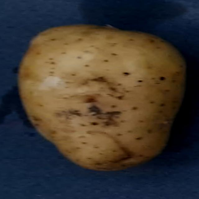 unhealthy potatoes Object Detection Dataset by sarah