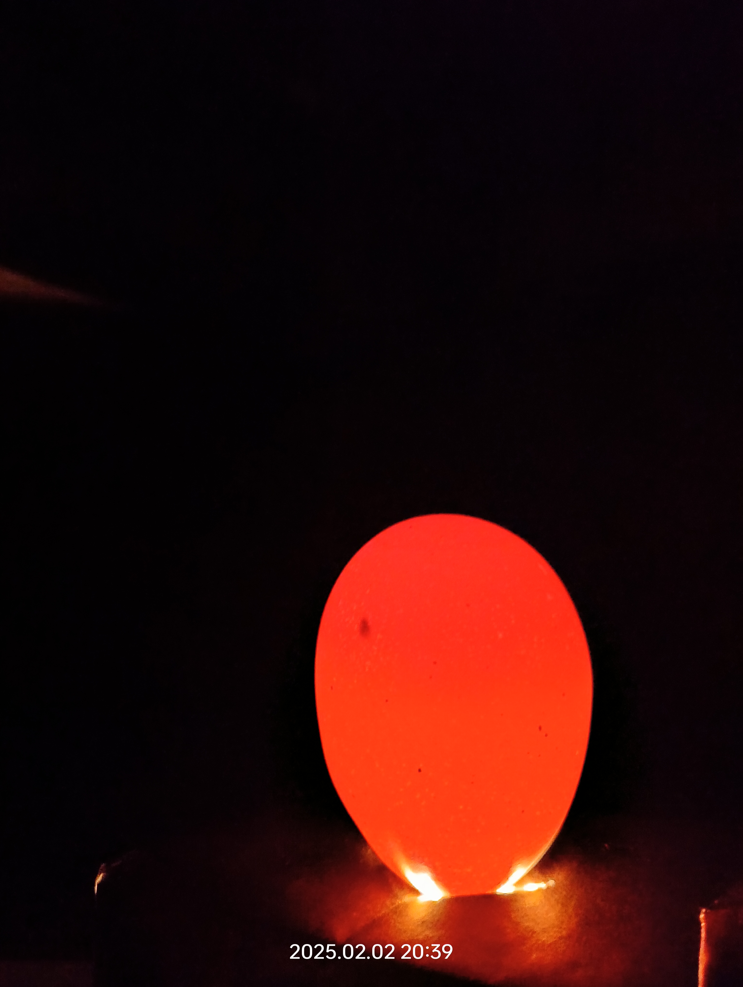 Egg Embryonic Growth Instance Segmentation Model by THESIS