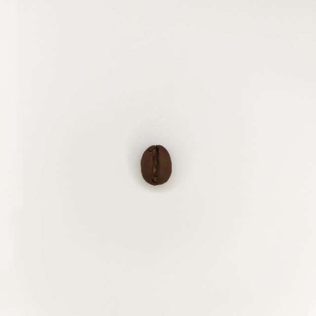 coffee Classification Dataset by coffee