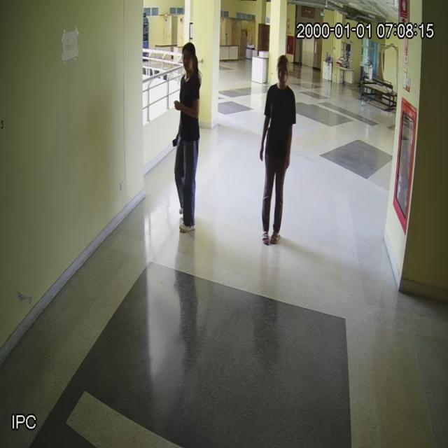 CCTV-Pose Keypoint Detection Model by kelvin