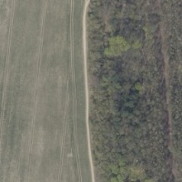 tree detection (tree-detection-tnv6a) - Roboflow Universe