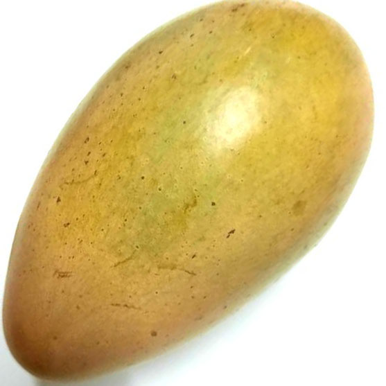 mango Object Detection Model by HUY