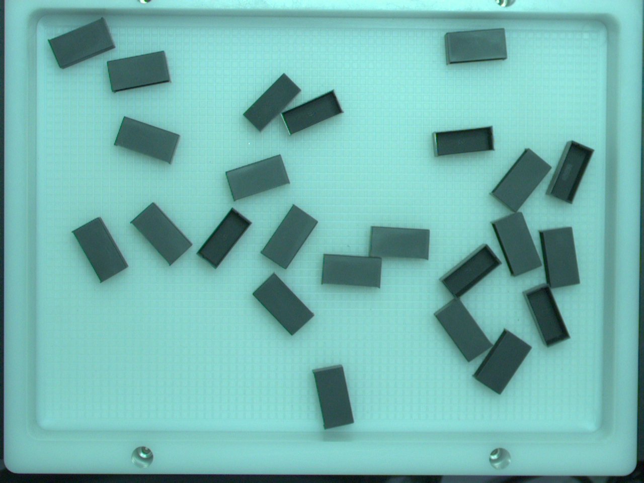 back_front Instance Segmentation Dataset by China Medical University