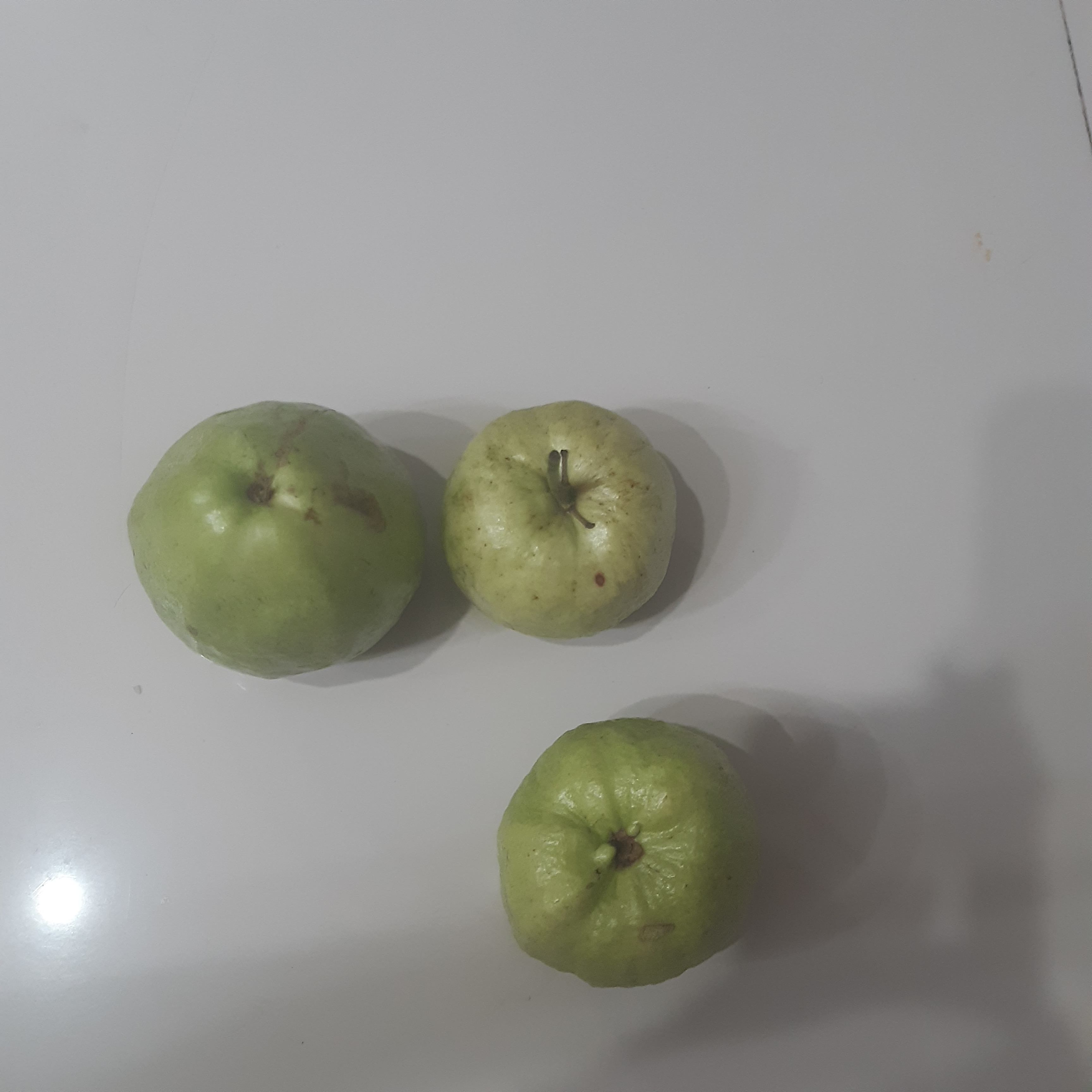 Fruit Detection Object Detection Dataset And Pre Trained Model By