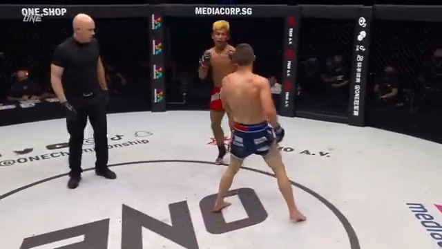 boxing auto Object Detection Dataset by boxing