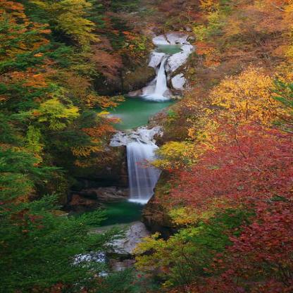 allC Object Detection Dataset by gjfkholhdofg