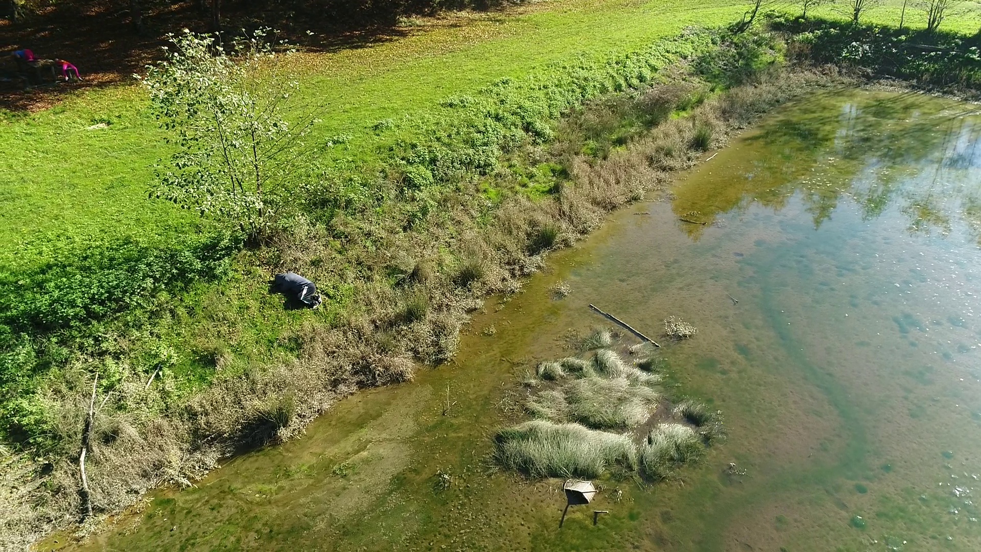 Sard Object Detection Model (v17, TILES_3x3) by Datasets