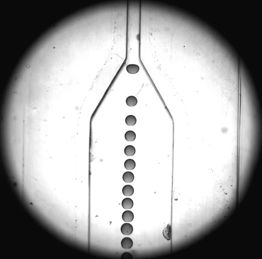 S_batch1 Object Detection Dataset by Mihir Durve