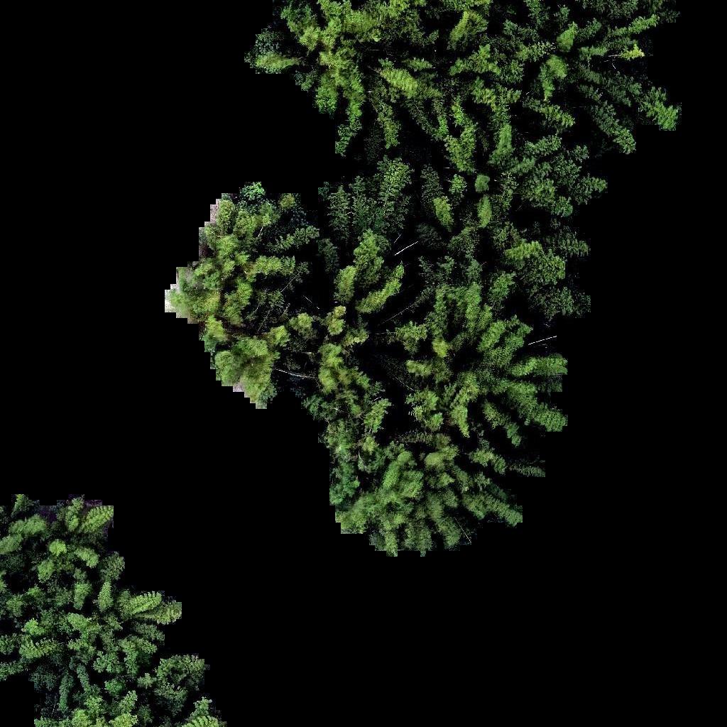 new_instance_srgmentation Instance Segmentation Dataset by bamboo