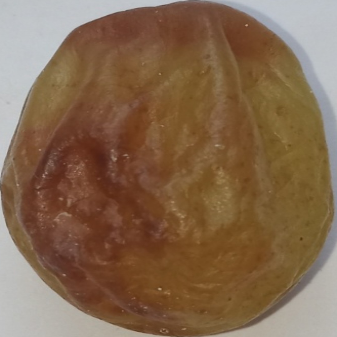 Data Image Anggur Hijau Classification Dataset by Skripsi