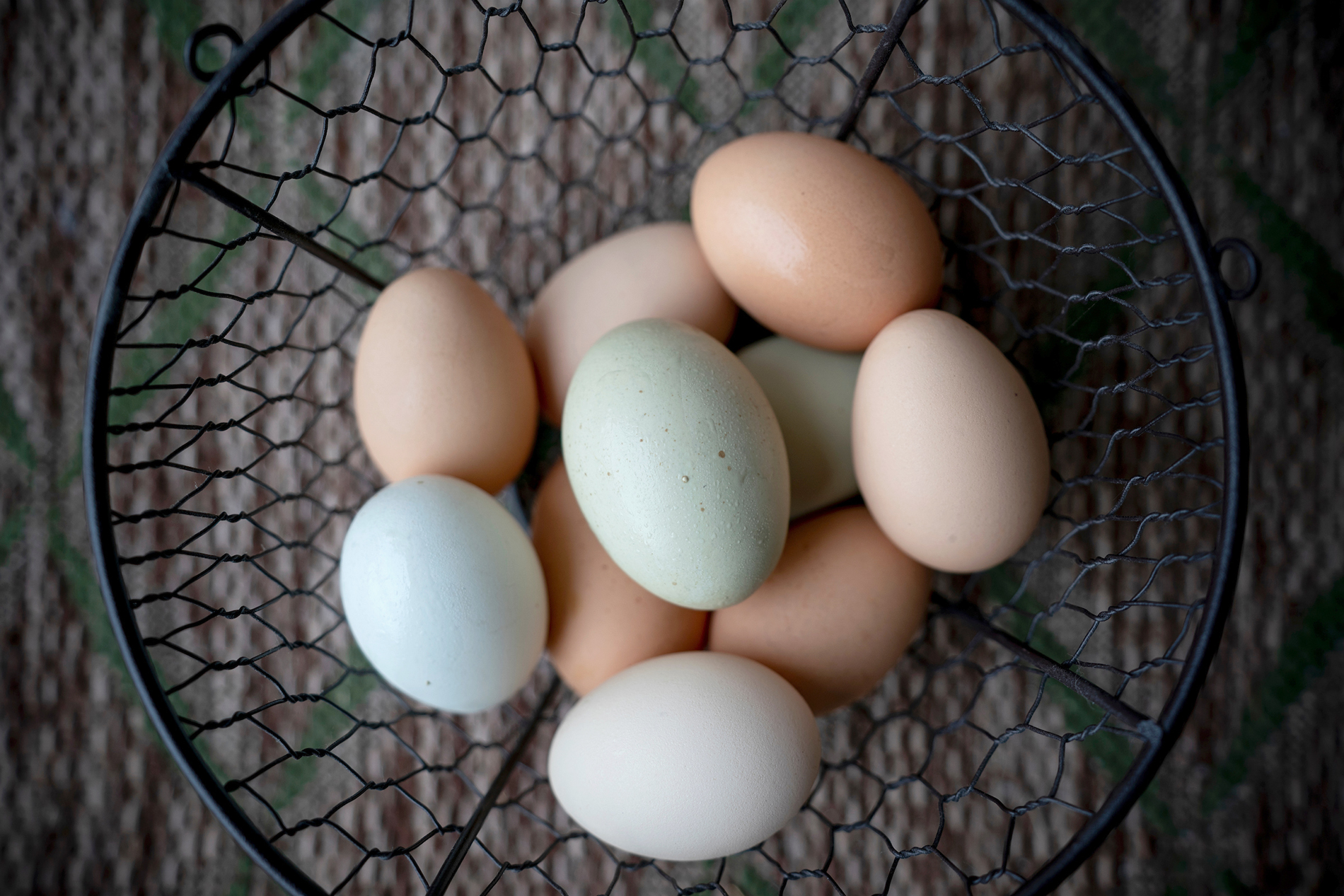 Eggs Instance Segmentation Dataset by Eggs