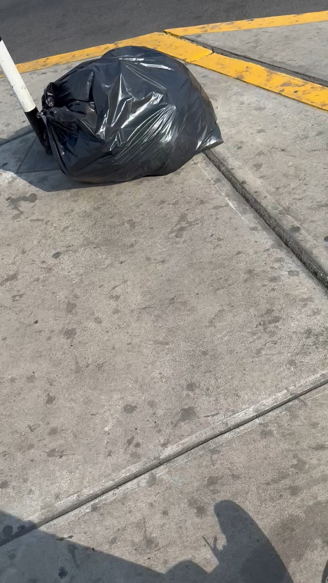 Garbage - Only Bags Object Detection Dataset and Pre-Trained Model by Renzo