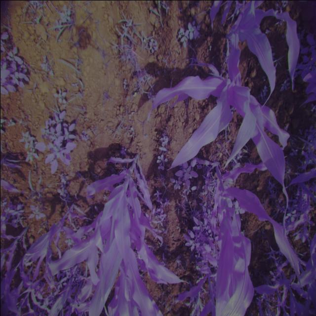 Project Dos - Roboflow Universe