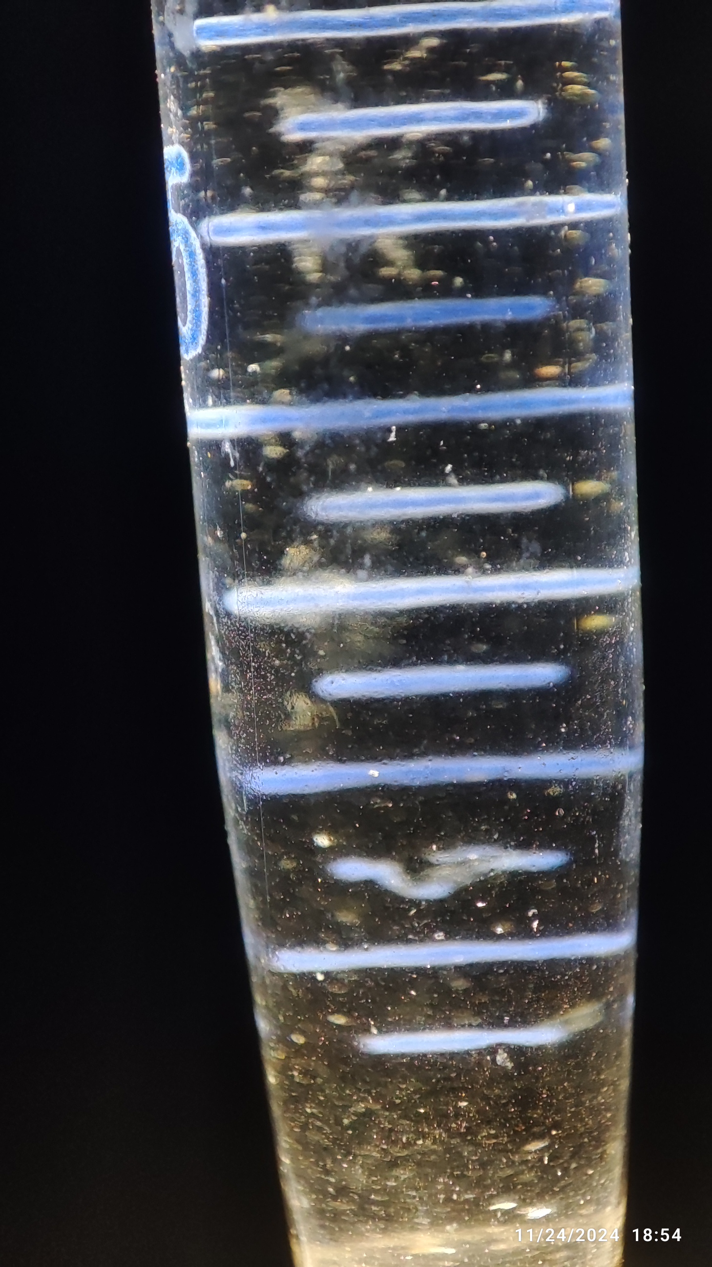 Rotifers Object Detection Model by Rotifers Detection