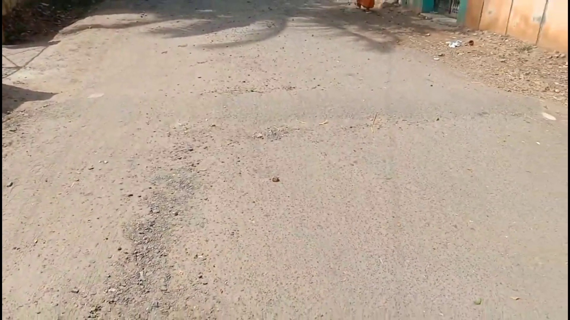 sb_detection Object Detection Model by sb