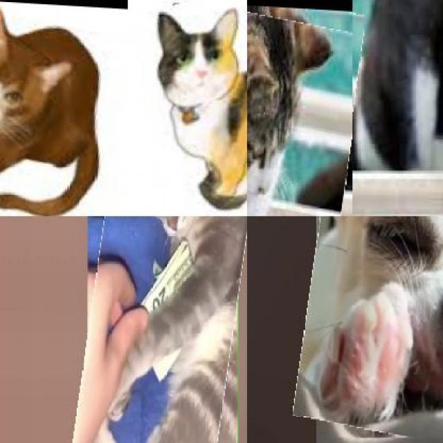 Dog_Cat Object Detection Dataset and Pre-Trained Model by sb