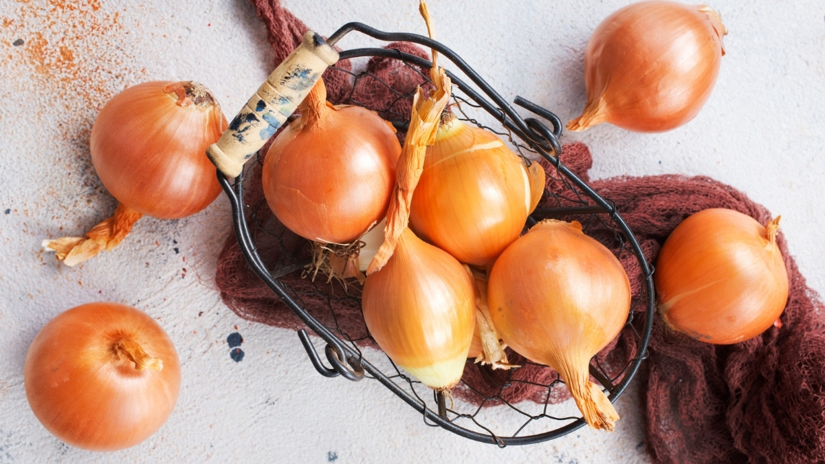 Labeling Object Detection Dataset By Ai