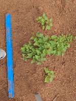 qwqwe - Roboflow Universe