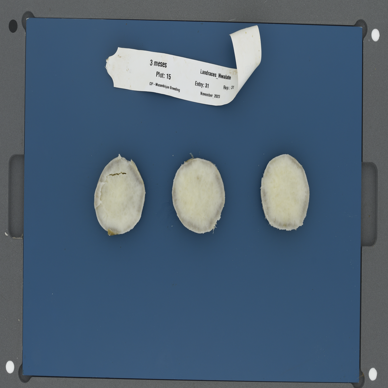 qwqwe - Roboflow Universe