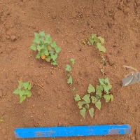 qwqwe - Roboflow Universe