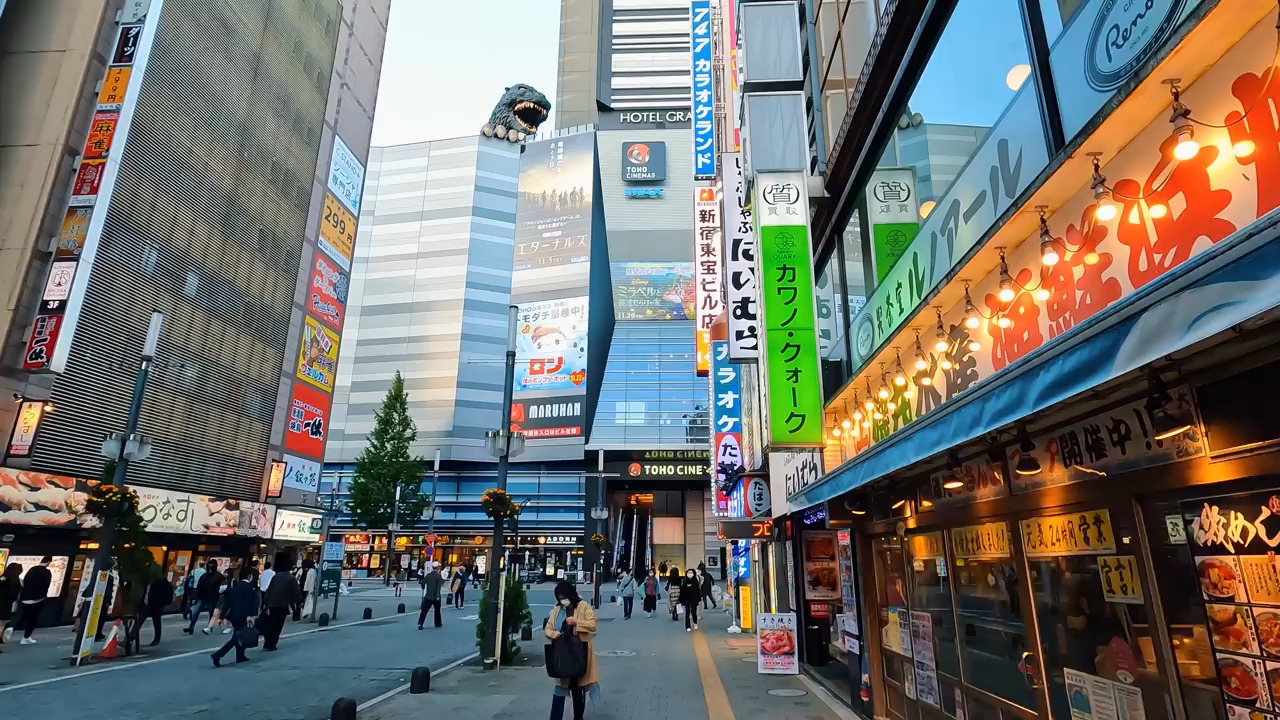 STARS AMMAN - Roboflow Universe