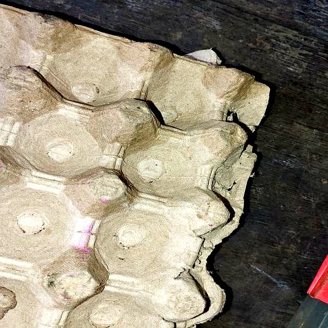 bio-test Object Detection Dataset by non BIO