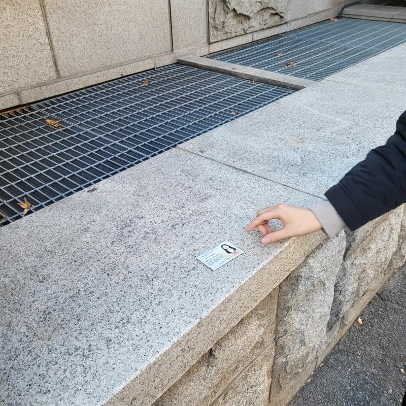 IDCard_final_polygon Instance Segmentation Model by Realfinal