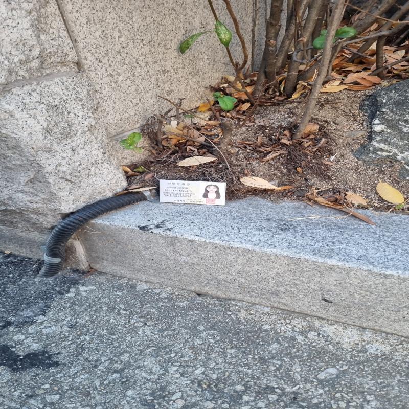 IDCard_1 Instance Segmentation Dataset by Realfinal