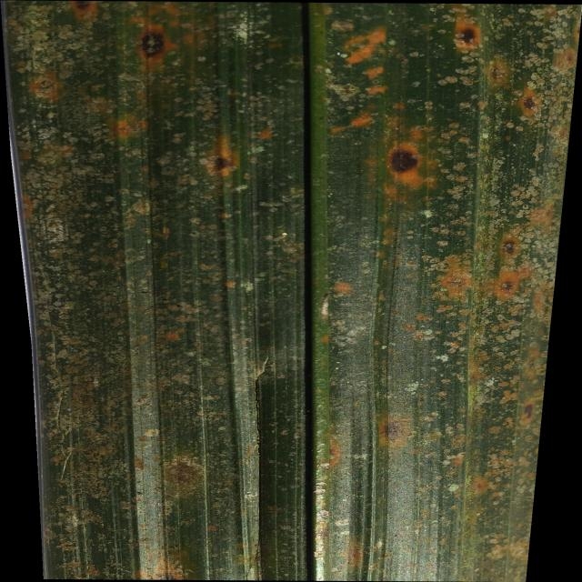 malek Object Detection Dataset and Pre-Trained Model by pfe