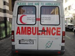 ambulance data Instance Segmentation Dataset by personal