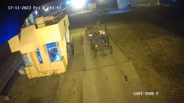 asmoli-tare Instance Segmentation Dataset by anonymizer