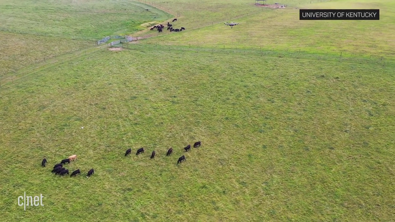 AGX Xavier training Classification Dataset by Training